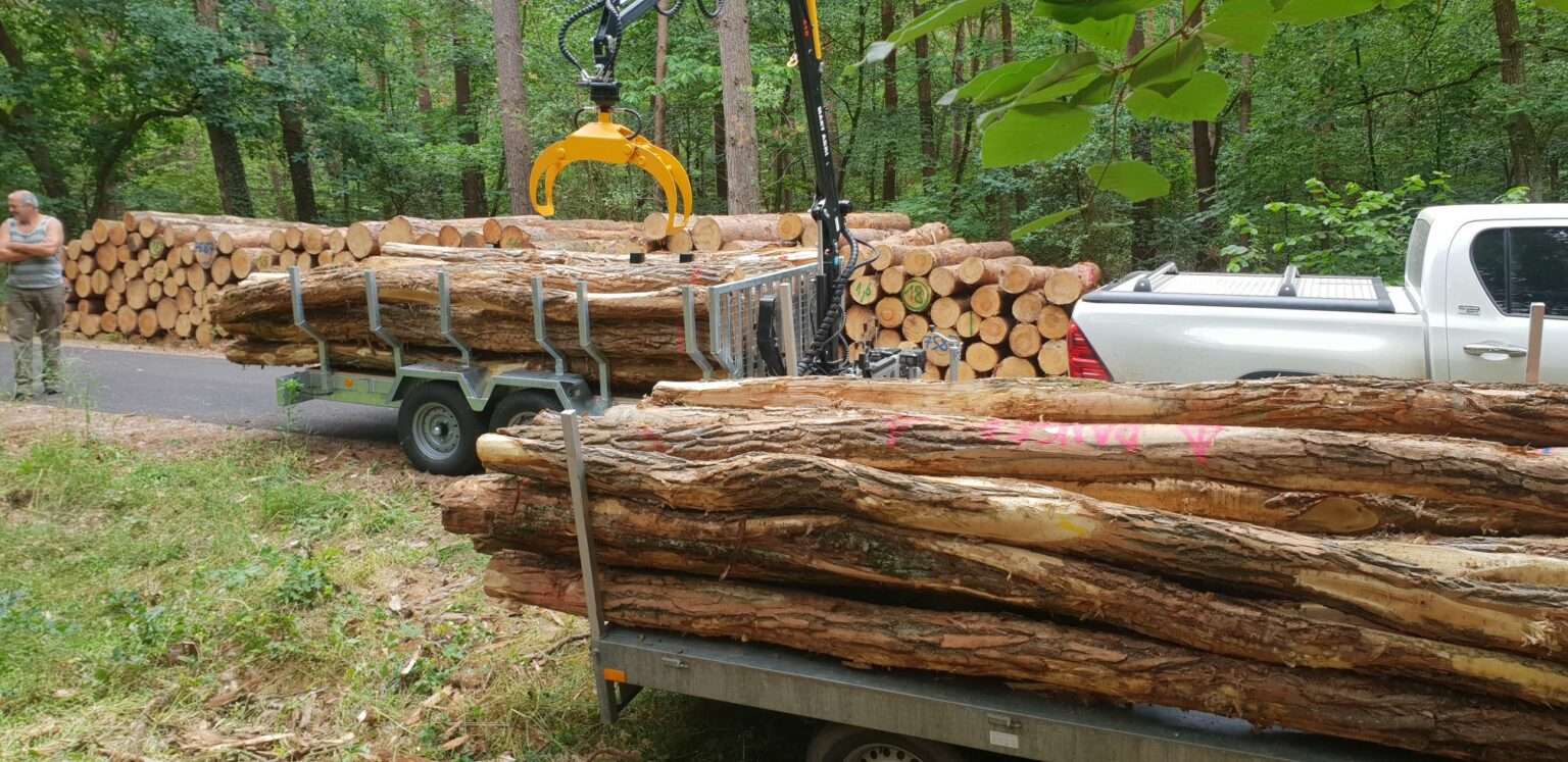 REMORQUE ROUTIERE FOREST 3,5T - MARY AGRI